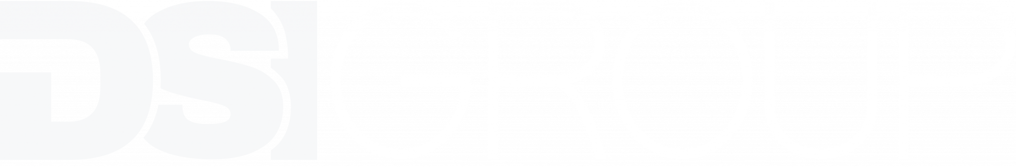 DSI Group - Découvrez l'ensemble de nos agences